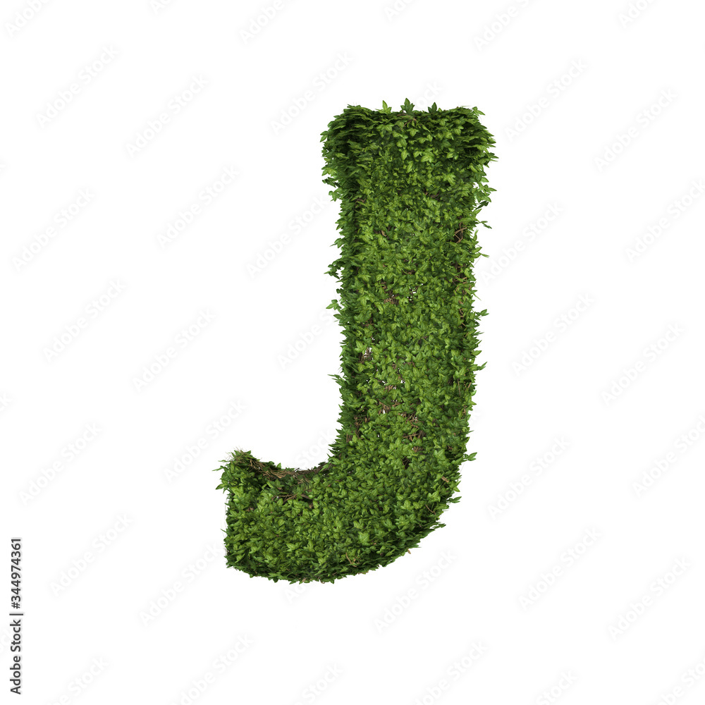 Ivy plant with leaves, green creeper bush and vines forming letter J ...