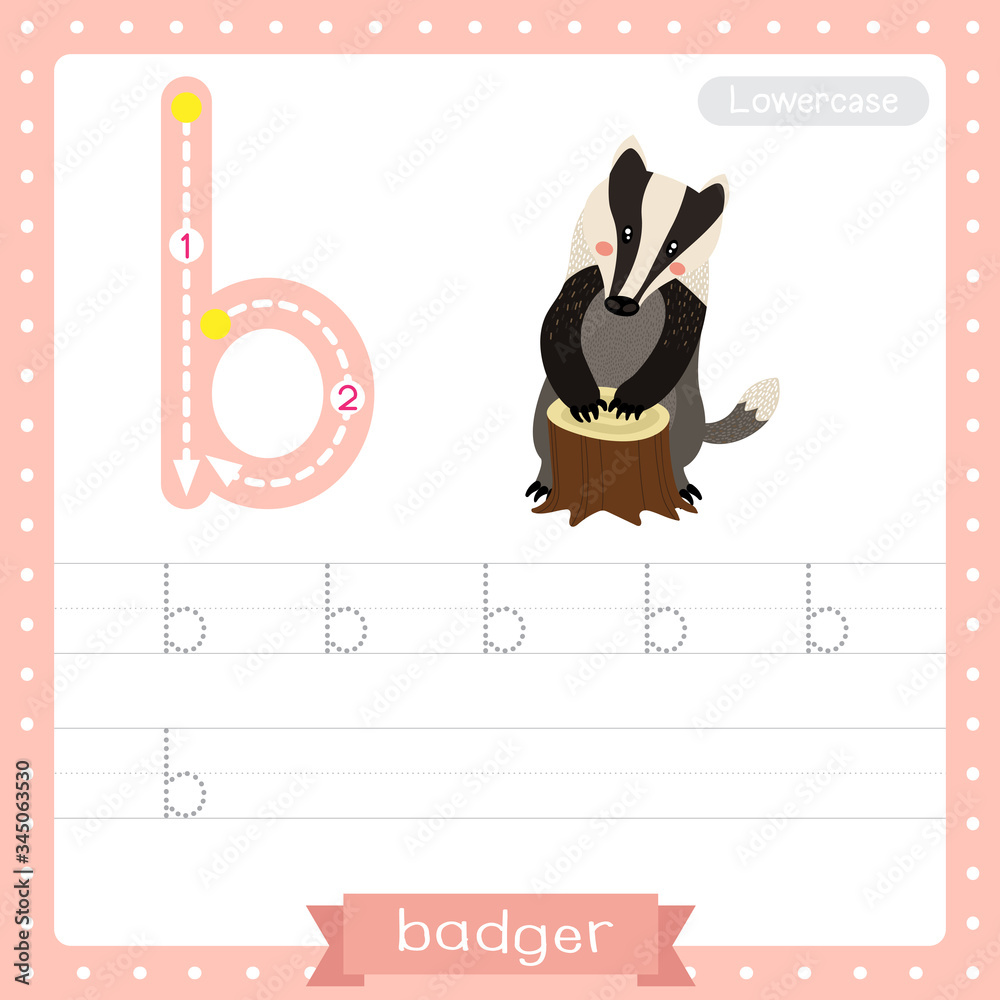 Letter B lowercase tracing practice worksheet. Badger Stock Vector ...