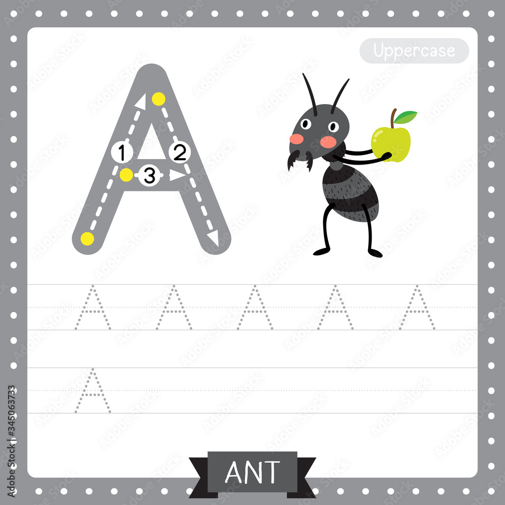 Letter A uppercase tracing practice worksheet. black ant with apple ...