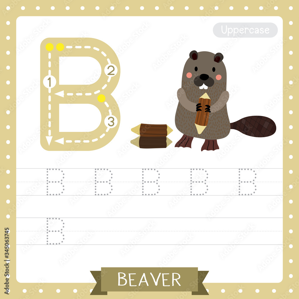 Letter B uppercase tracing practice worksheet. A standing Beaver ...