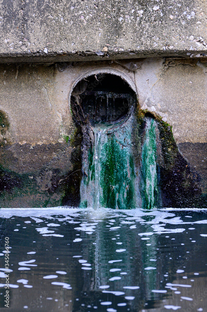 waste water flow to sewer with moss, bad water from city, water ...