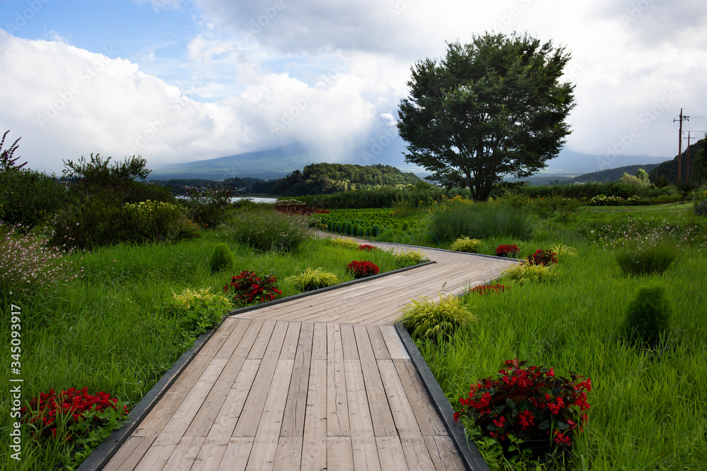 Wooden pedestrian walkway in a Japanese garden, near the Kawagochi Lake ...