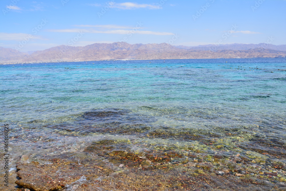 Plage Paradisiaque Mer Rouge Coraux snorkeling Eilat Israël Stock Photo ...