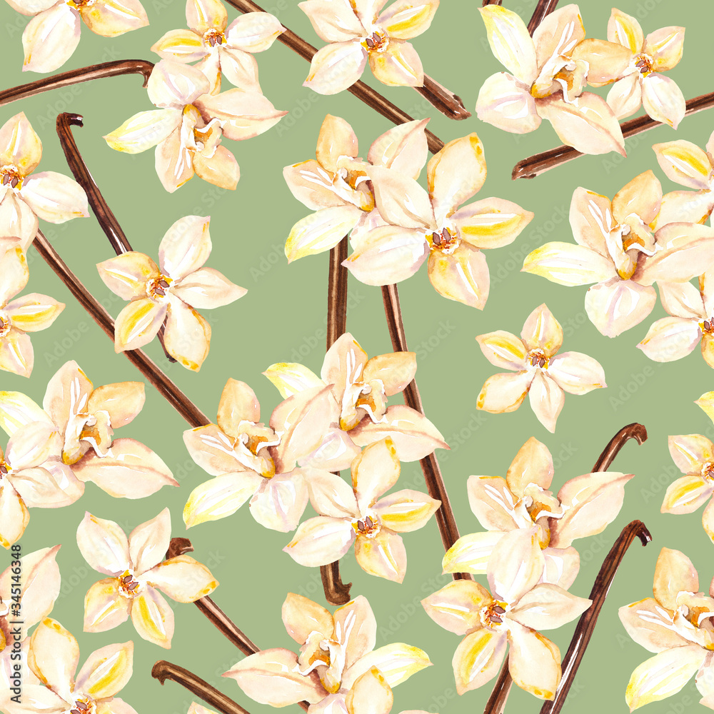 Watercolor hand painted natural vanilla flowers illustration seamless ...