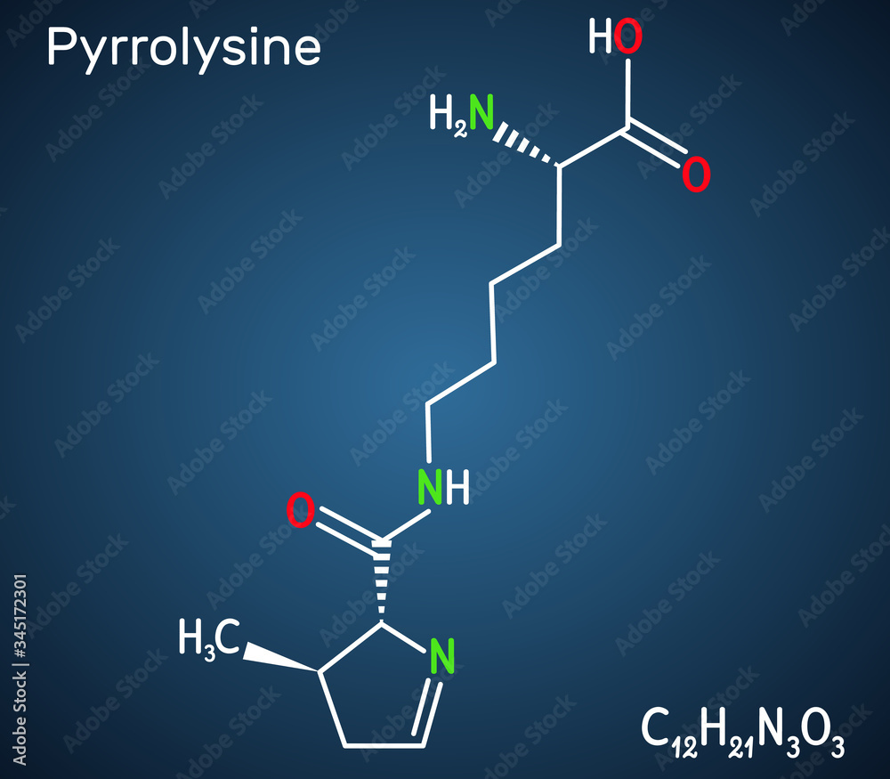 Pyrrolysine, l-pyrrolysine, Pyl, C12H21N3O3 molecule. It is amino acid ...