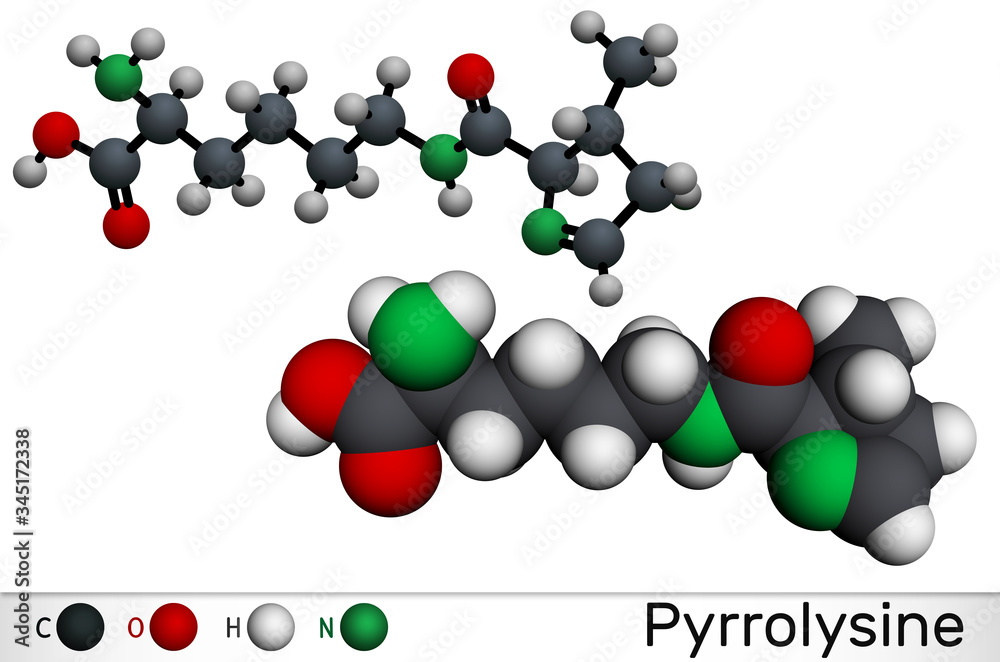 Pyrrolysine, l-pyrrolysine, Pyl, C12H21N3O3 molecule. It is amino acid ...