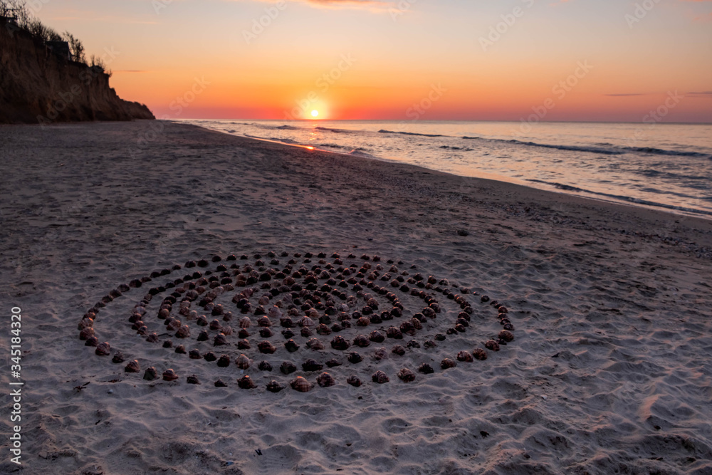 Shells in a spiral shape on the sand beach at the morning sunrise ...