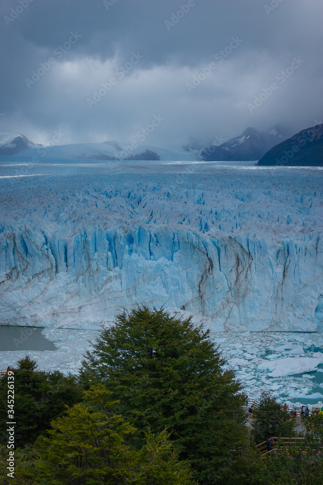 Icy landscape (Iceberg&forest) of El Calafate, the town near the edge ...