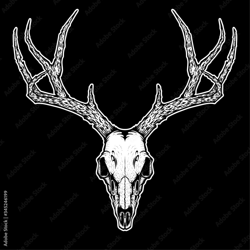 deer skull with isolated background. vector illustration for tattoo ...