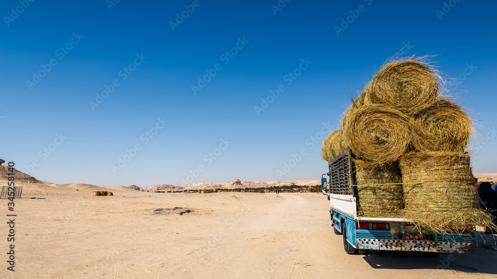Foto de hay bales loaded on vehicle for Desert Camel farm -Al Sarar ...