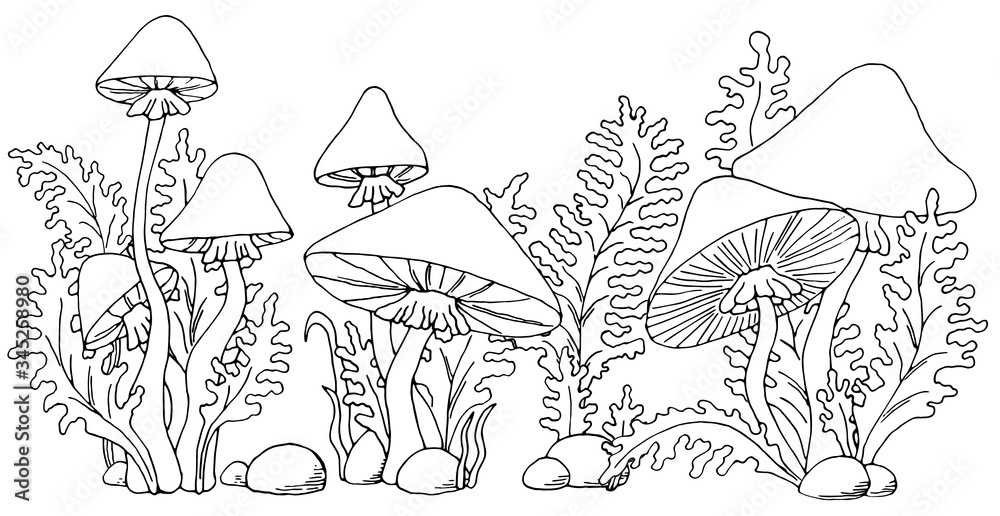 hand drawn vector illustration of a mushroom amanita phalloides death ...