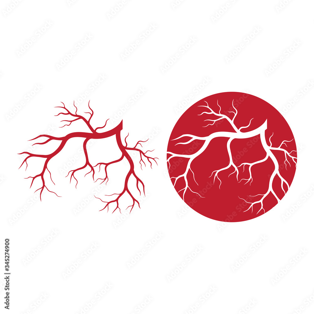 human veins, red blood vessels design and arteries Vector illustration ...