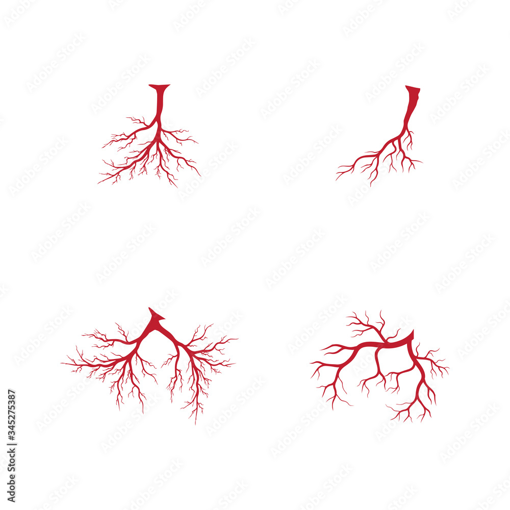 human veins, red blood vessels design and arteries Vector illustration ...