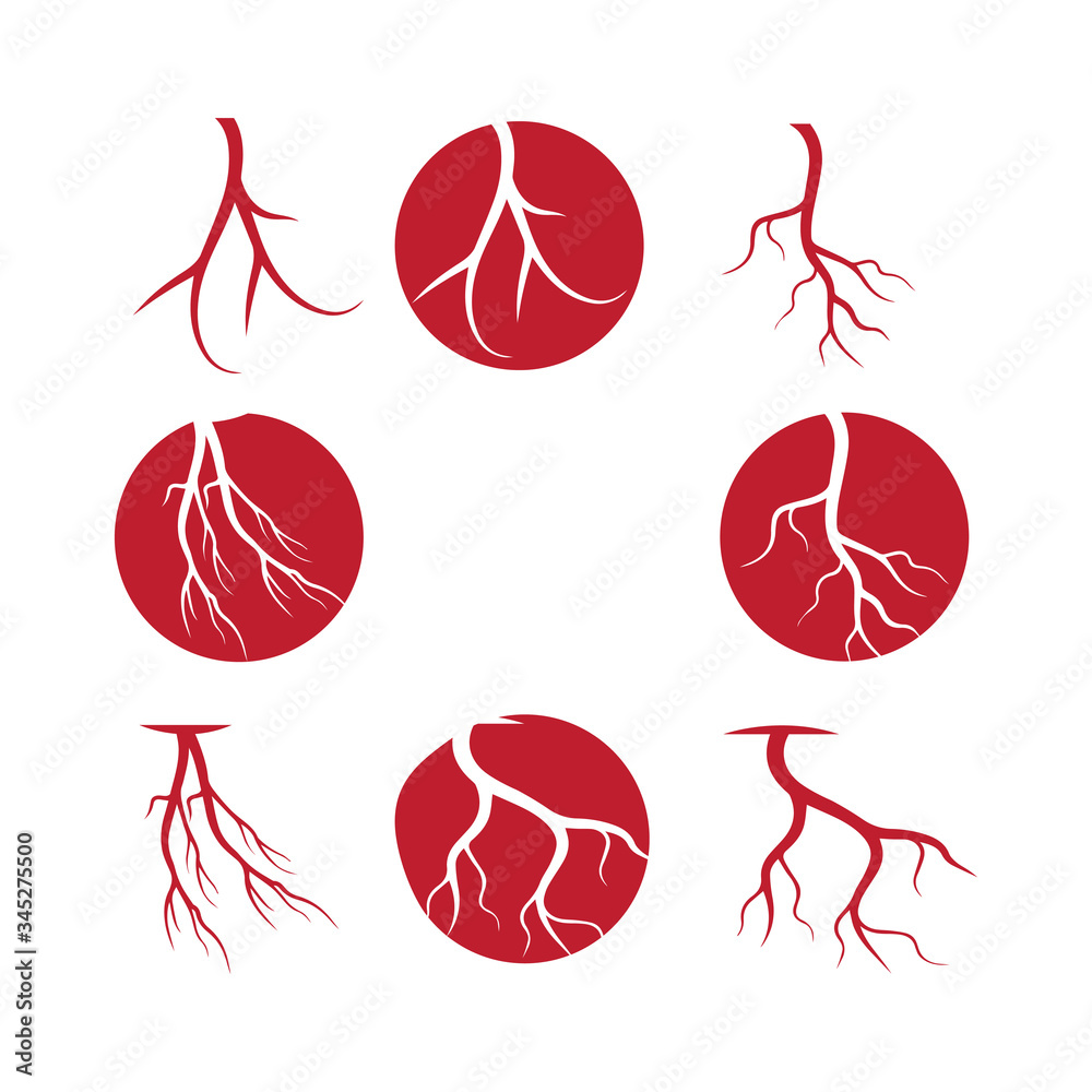 human veins, red blood vessels design and arteries Vector illustration ...