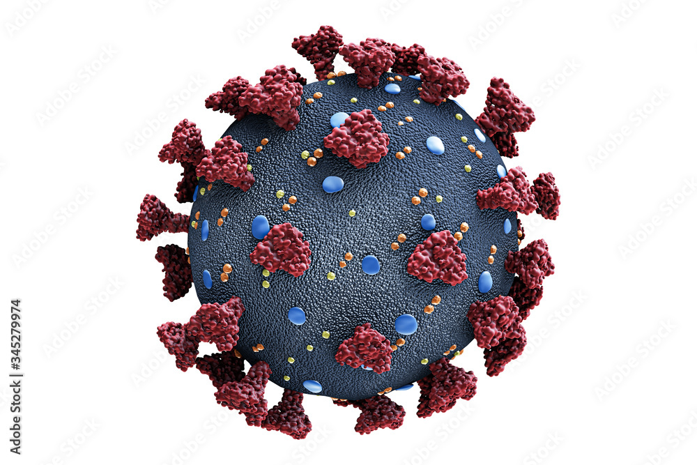 Coronavirus or covid-19 virus cell scientific structure model isolated ...