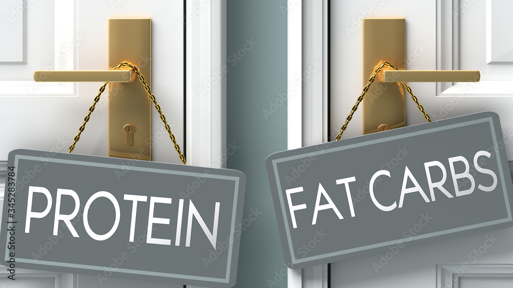 fat carbs or protein as a choice in life - pictured as words protein ... fat carbs or protein as a choice in life - pictured as words protein ...