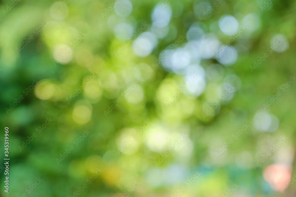 Green leaf bokeh pattern background for design Stock Photo | Adobe Stock