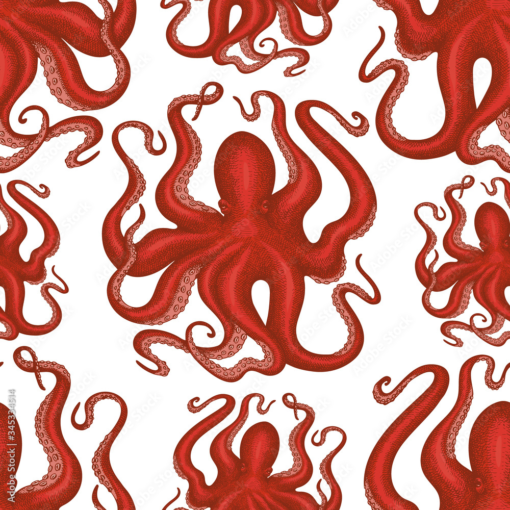 Octopus seamless pattern. Hand drawn vector seafood illustration. Retro ...