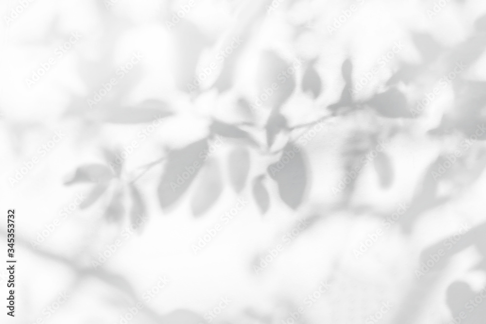 Leaves shadow and tree branch background. Natural leaves tree branch ...