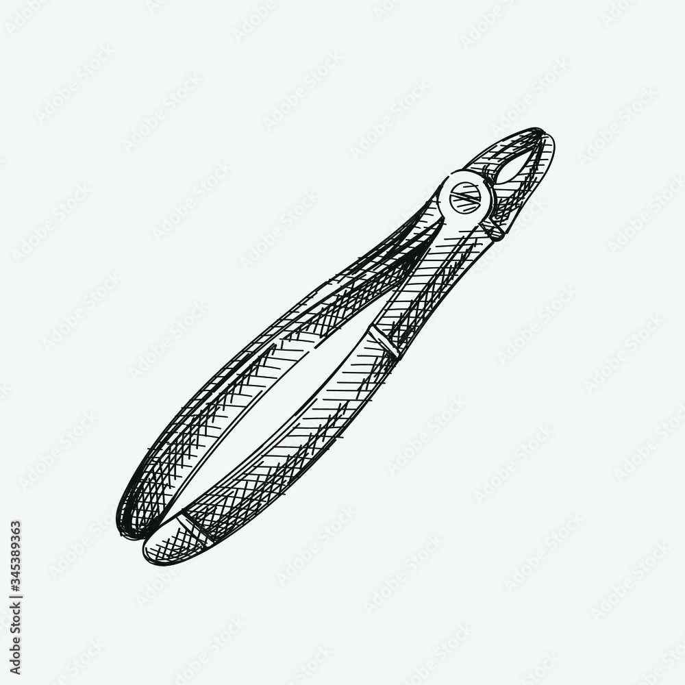 Hand-drawn sketch of dental forceps on a white background. Dental ...