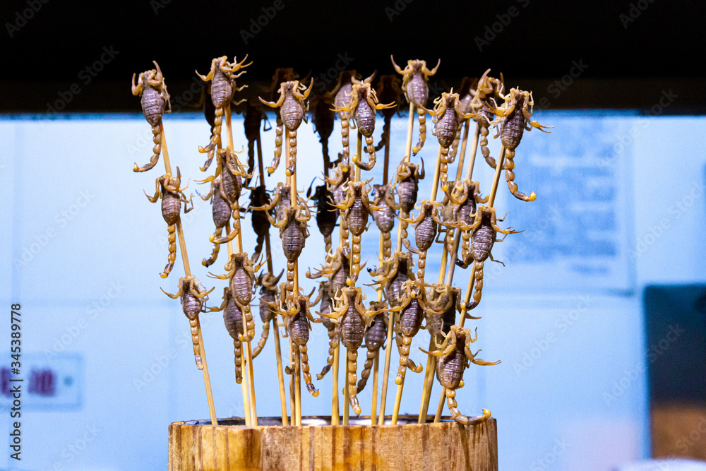 Insectos para comer en Wangfujing, Beijing, China Stock Photo | Adobe Stock