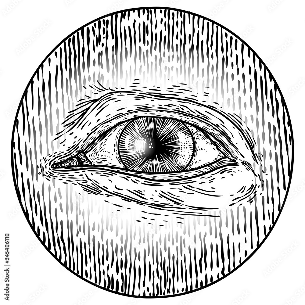 Hand drawn eye iris as element of All seeing eye of providence ...
