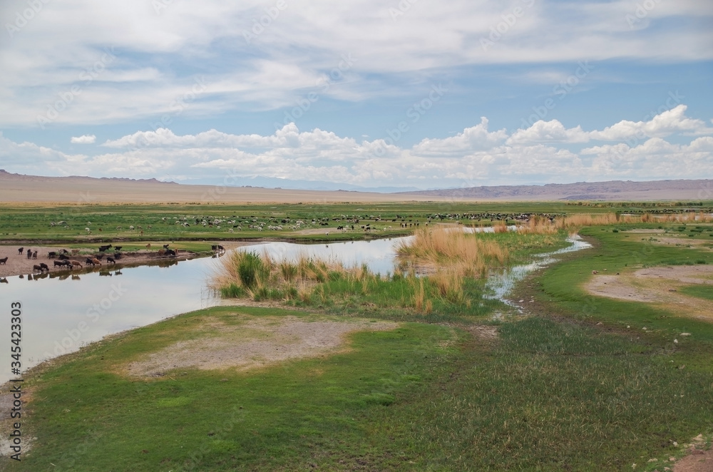 Coast of the freshwater Achit lake. Coast is covered with hilly steppes ...