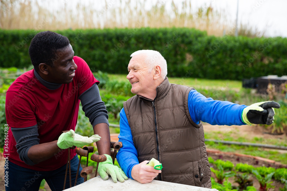 Senior man friendly talking to African neighbor Stock Photo | Adobe Stock