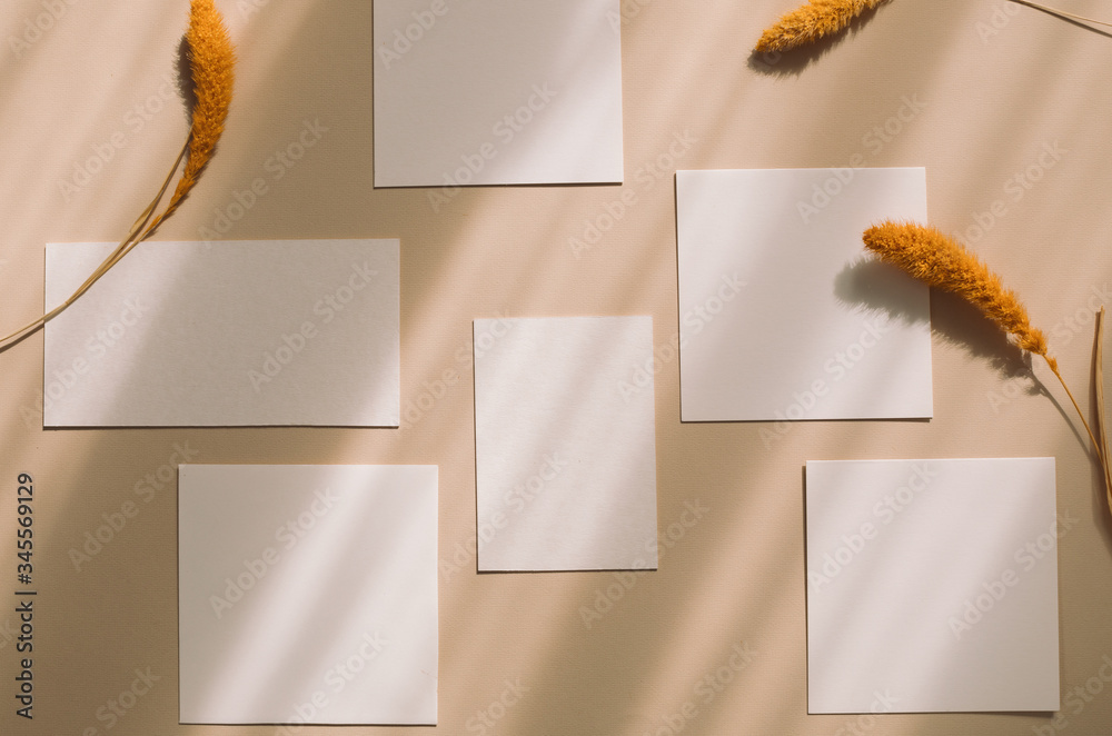Top view of mood board template. Blank paper cards, decorative fluffy ...