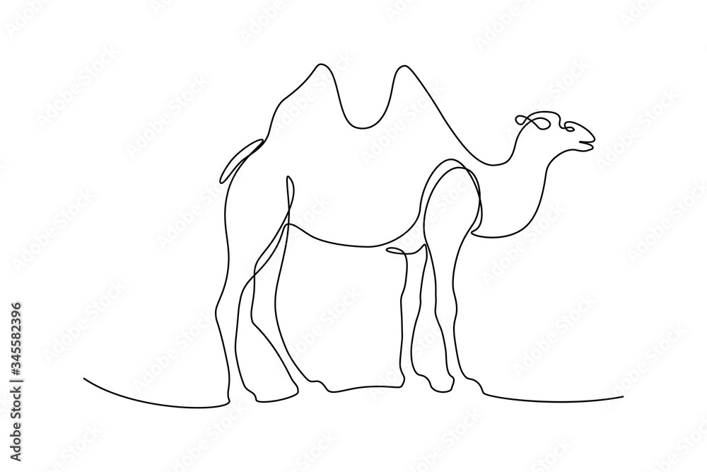 Two-humped Bactrian camel in continuous line art drawing style ...