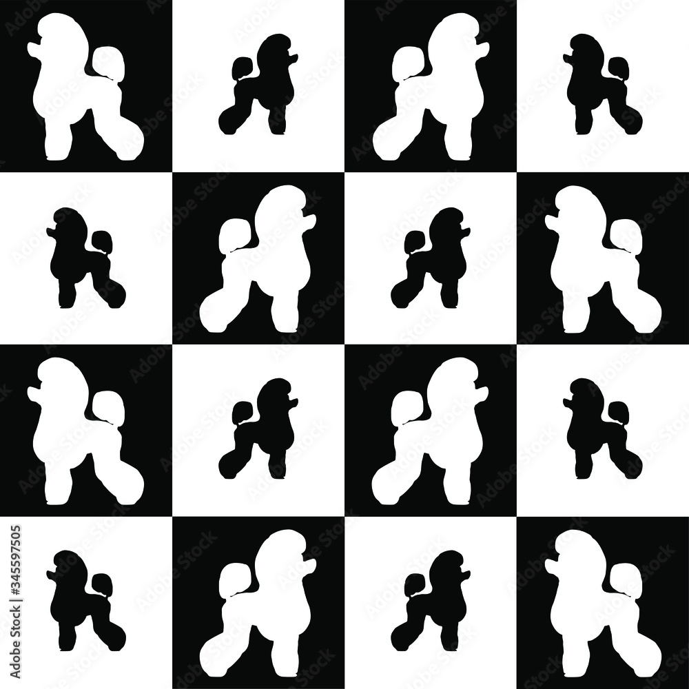 dog breed poodle on black and white squares and cells . it seems like ...