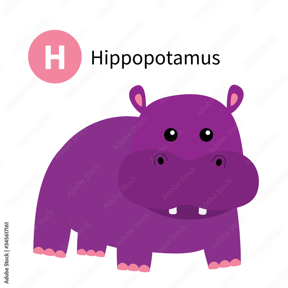 Letter H. Hippopotamus. Behemoth river-horse. Zoo animal alphabet ...