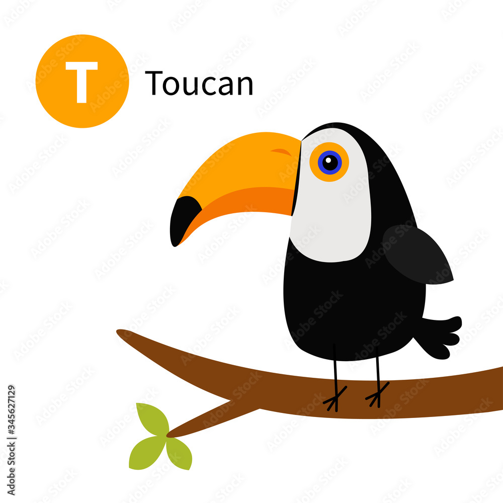 Letter T. Toucan. Toco. Big beak. Exotic tropical bird. Zoo animal ...