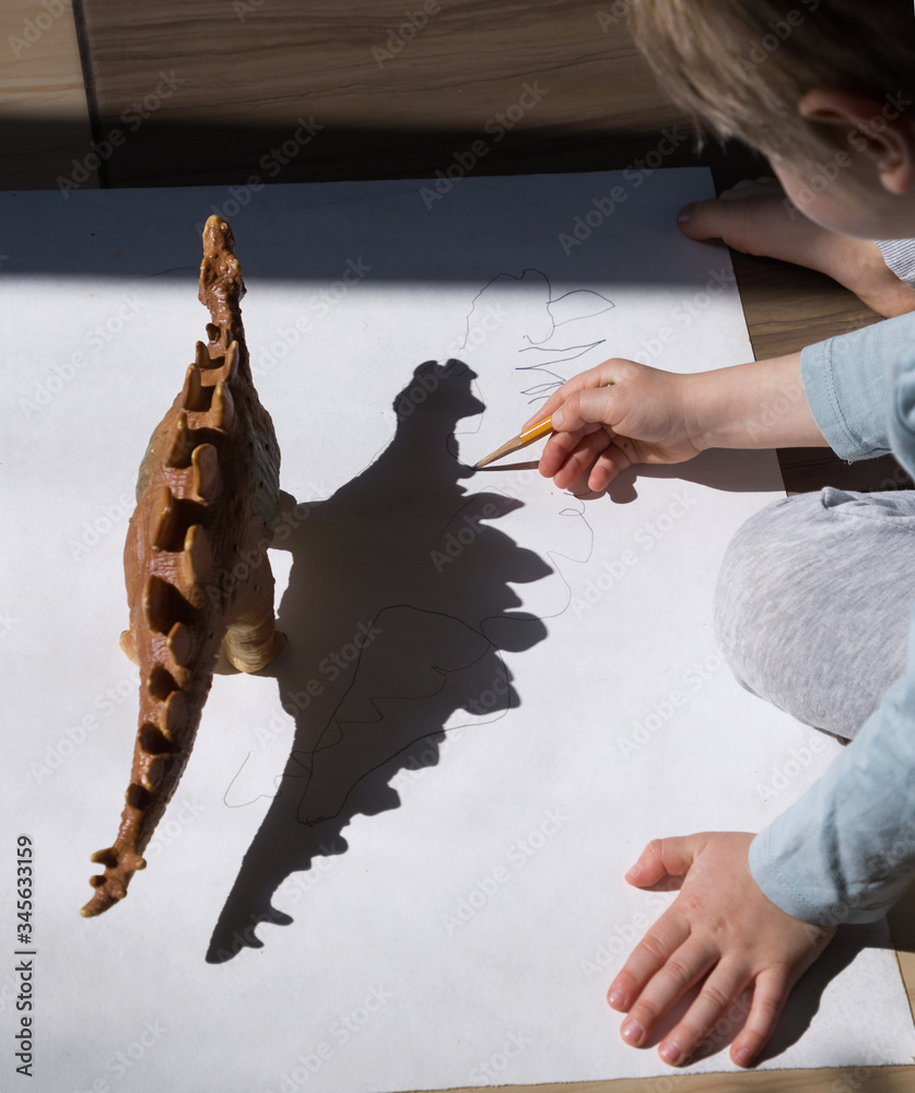 child draws with pencil contrasting shadows from toy dinosaur. drawing ...