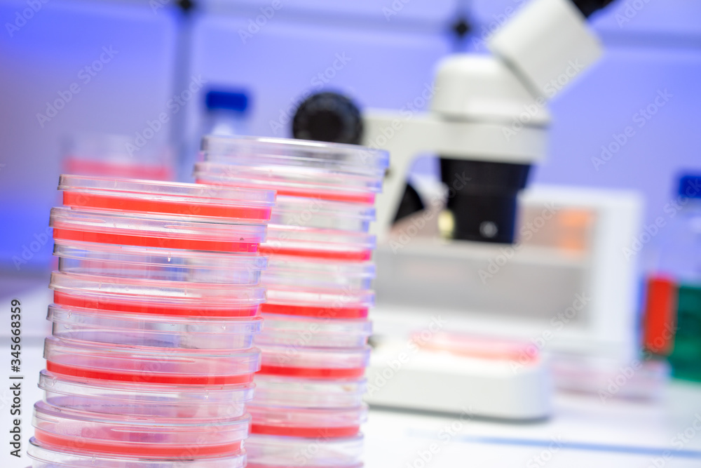 Microscope and petri dish with biological sample on clinical workbench ...