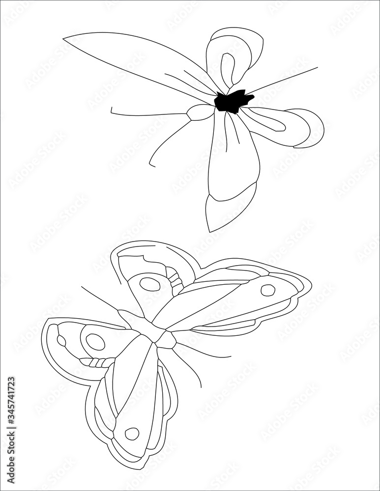 coloring book; monochrome; flies; worksheet; hand drawn; symbol; lines ...