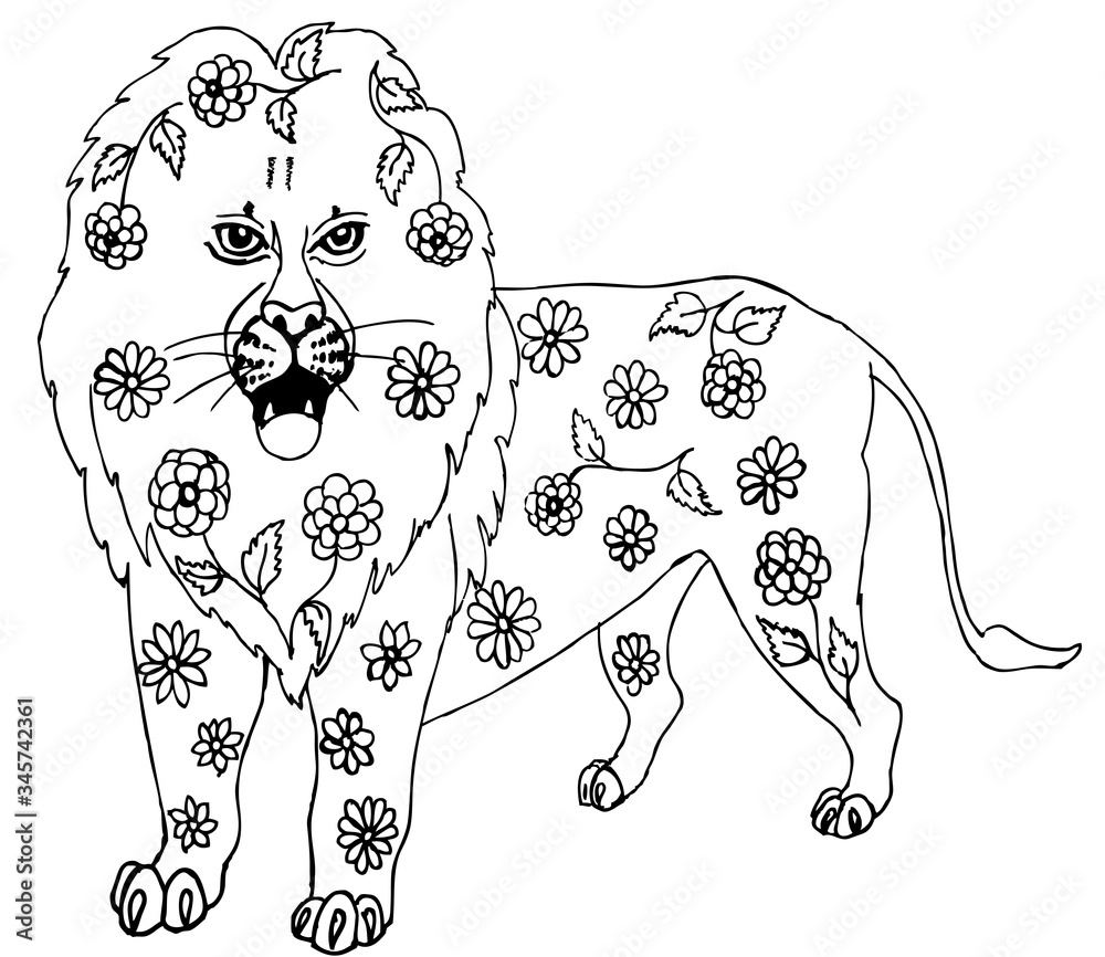 Poster The African lion. Drawing for coloring – Wall Art | UkPosters