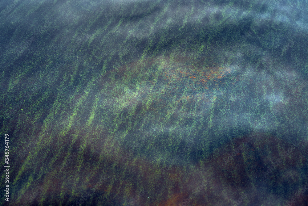 The rhythmic pattern of algae under water with solar reflexes Stock ...