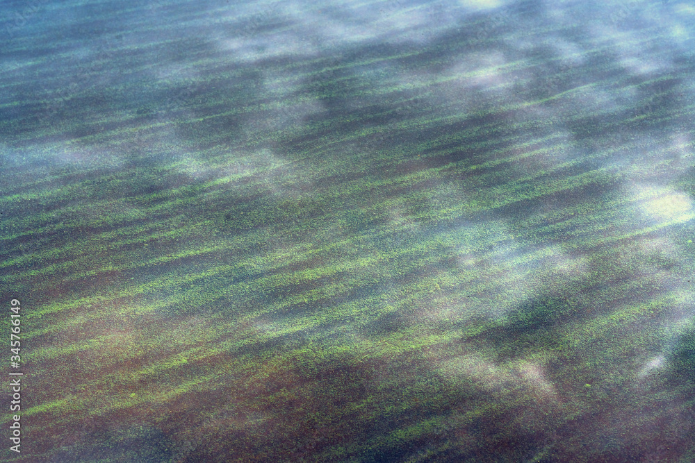 The rhythmic pattern of algae under water with solar reflexes Stock ...