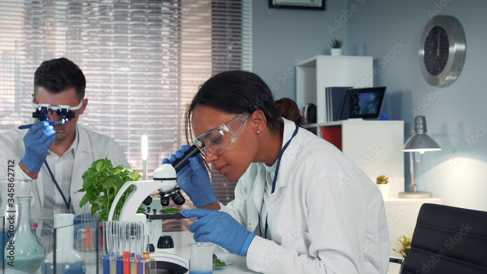 In modern research laboratory black female scientist looking at organic ...