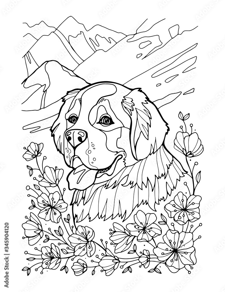 St. Bernard portrait in mountains. Coloring page. Vector illustration ...