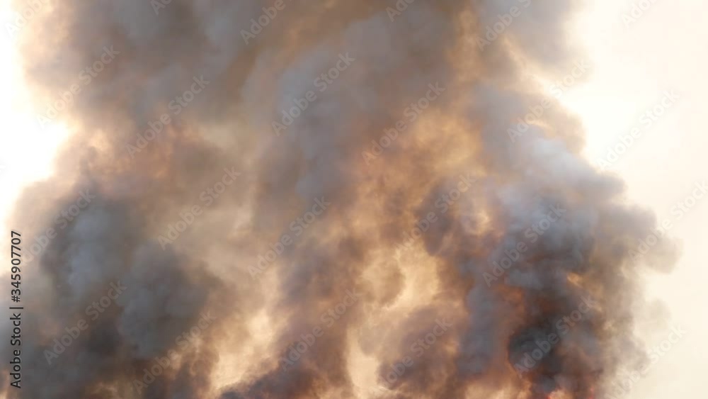 Video Stock Raging flame of fire burn in grass fields, forests and ...