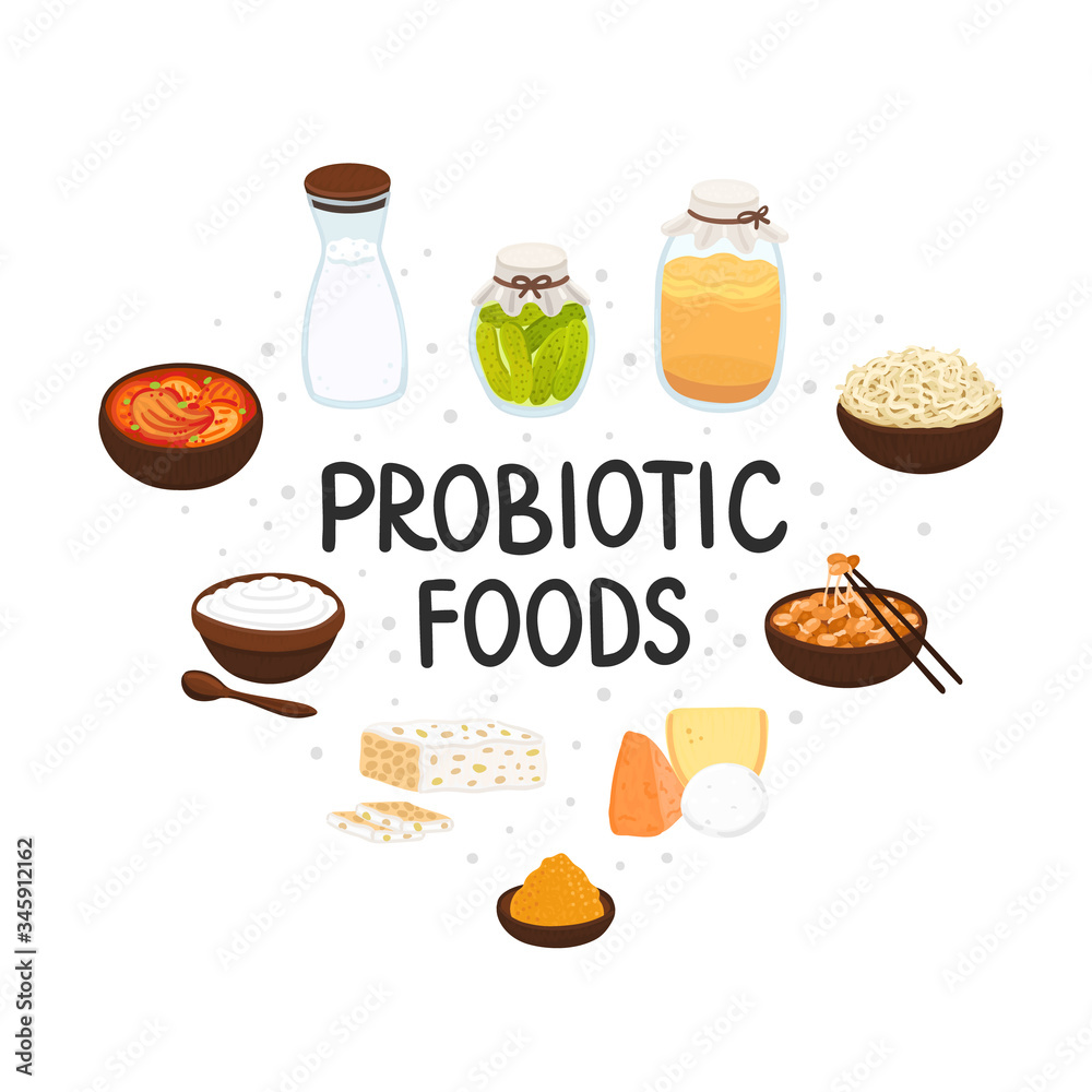 Vector probiotic foods. Best sources of probiotics. Beneficial bacteria ...