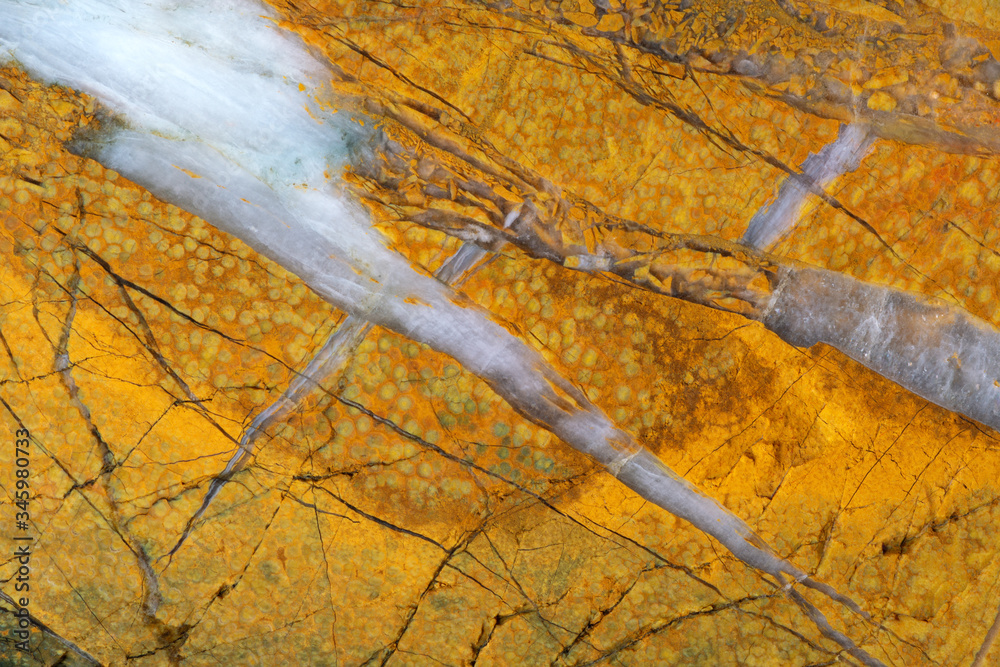 Texture of natural yellow jasper with cracks and veins of white quartz ...