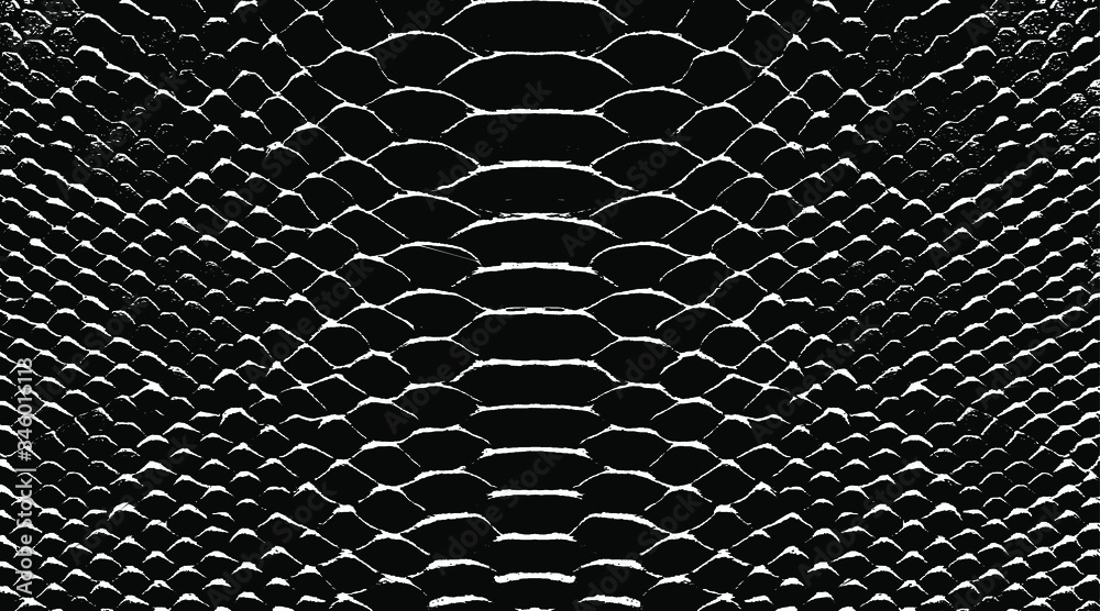 Snakeskin pattern imitation. Lines and spots structural texture. Cool ...