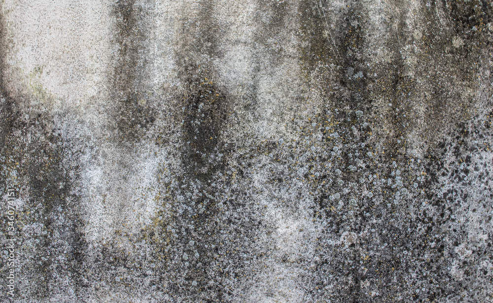 Old and deteriorated stone texture with remains of moss and vegetation ...