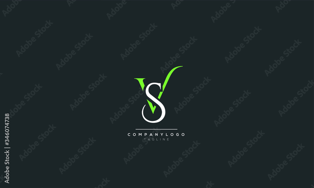 VS SV V S Letter Logo Design Icon Vector Symbol Stock Vector | Adobe Stock