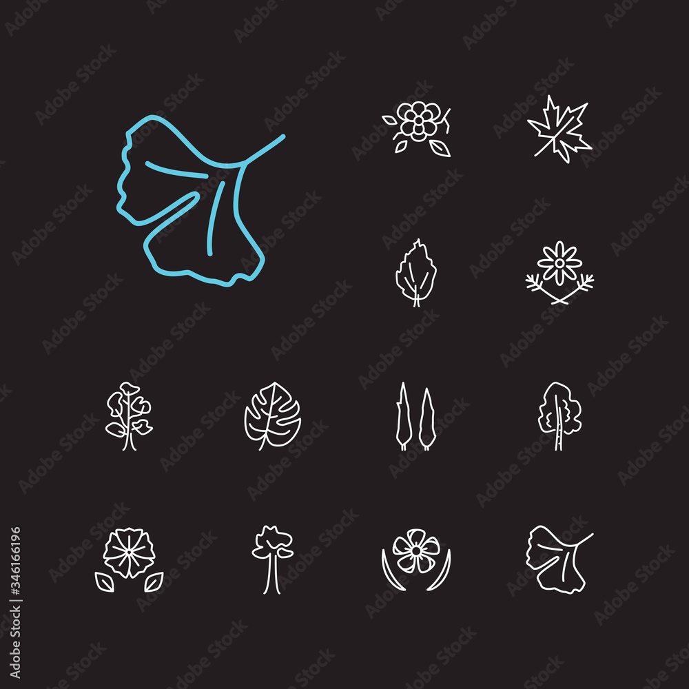 Plants icons set. Petunia and plants icons with sequoia, tropical leaf ...
