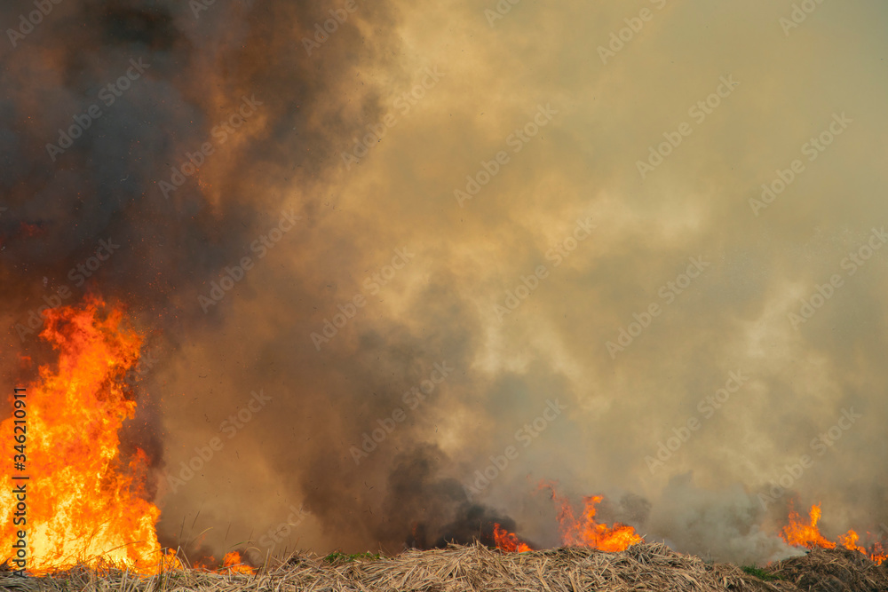Raging flame of fire burn in grass fields pollution in air from ...