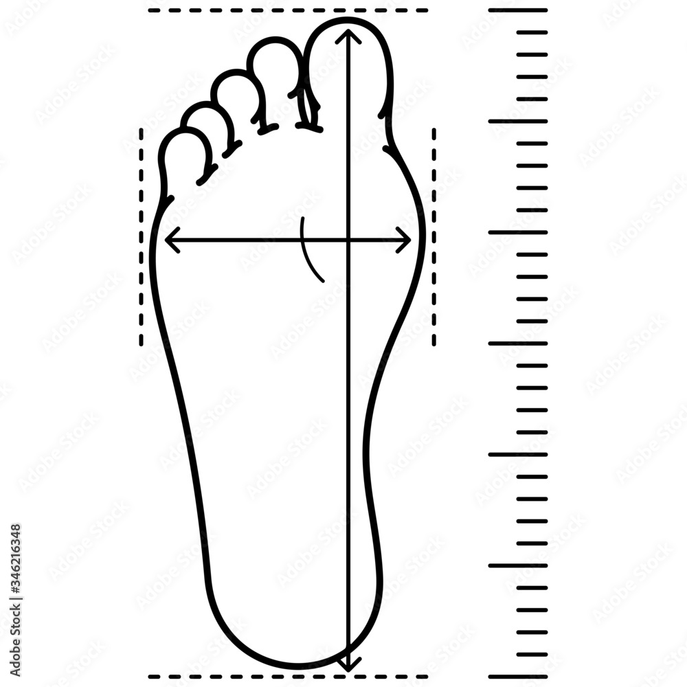 Foot Size Measurement For Shoes Stock Vector Adobe Stock